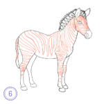 How to Draw a Zebra: A Step-by-Step | How to Mimi Panda