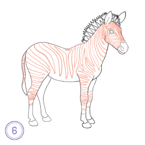 How to Draw a Zebra: A Step-by-Step | How to Mimi Panda
