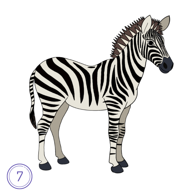 How to Draw a Zebra: A Step-by-Step | How to Mimi Panda