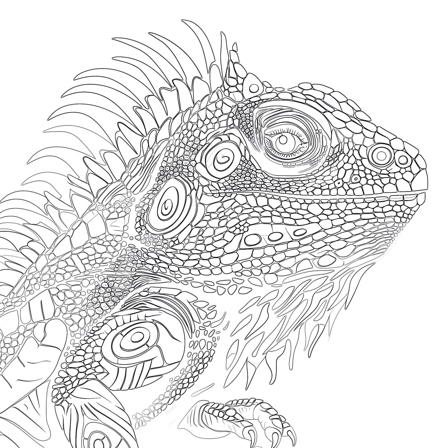 Reptiles Coloring | Coloring Pages Mimi Panda