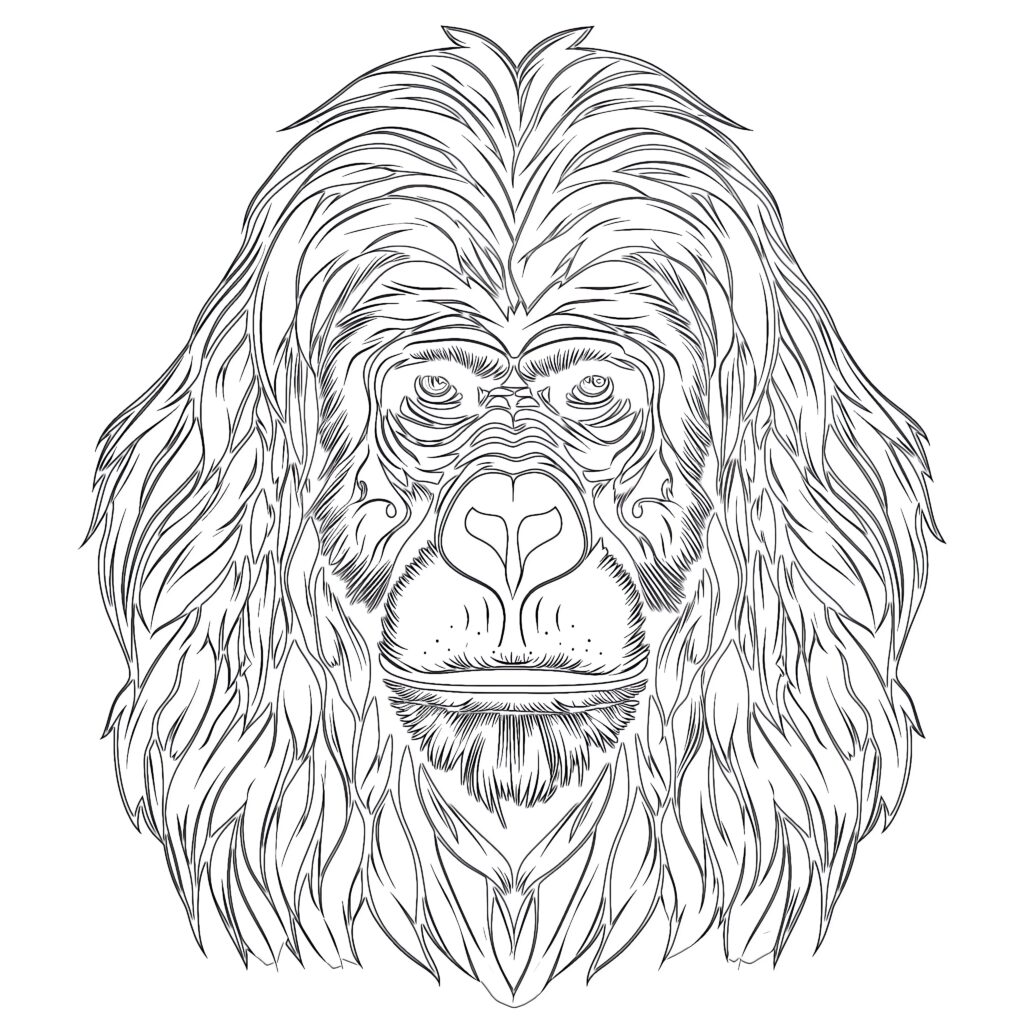 Sumatran Orangutan Coloring Page | Coloring Pages Mimi Panda