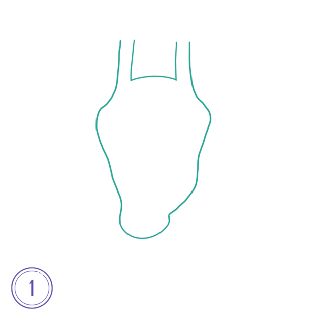 How to Draw a Giraffe Head: A Step-by-Step | How to Mimi Panda