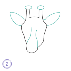 How to Draw a Giraffe Head: A Step-by-Step | How to Mimi Panda