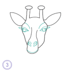 How to Draw a Giraffe Head: A Step-by-Step | How to Mimi Panda