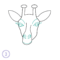 How to Draw a Giraffe Head: A Step-by-Step | How to Mimi Panda