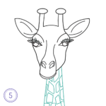 How to Draw a Giraffe Head: A Step-by-Step | How to Mimi Panda