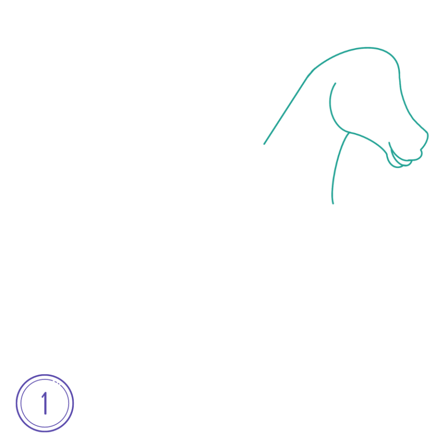 How to Draw a Horse: A Step-by-Step | How to Mimi Panda