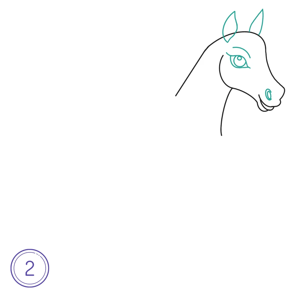 How to Draw a Horse: A Step-by-Step | How to Mimi Panda