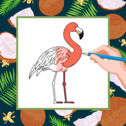 How to Draw a Flamingo: A Step-by-Step | How to Mimi Panda