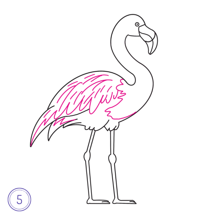 How to Draw a Flamingo: A Step-by-Step | How to Mimi Panda