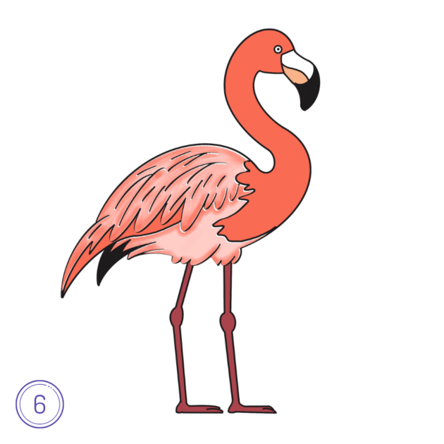 How to Draw a Flamingo: A Step-by-Step | How to Mimi Panda