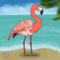 How to Draw a Flamingo: A Step-by-Step | How to Mimi Panda