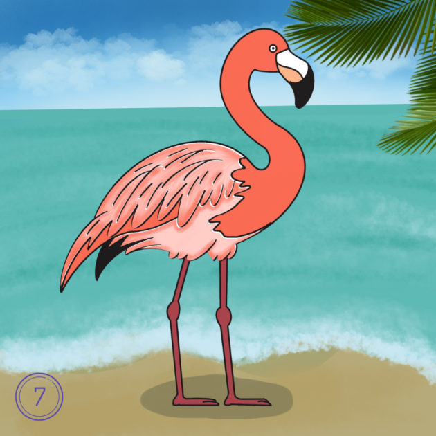 How to Draw a Flamingo: A Step-by-Step | How to Mimi Panda