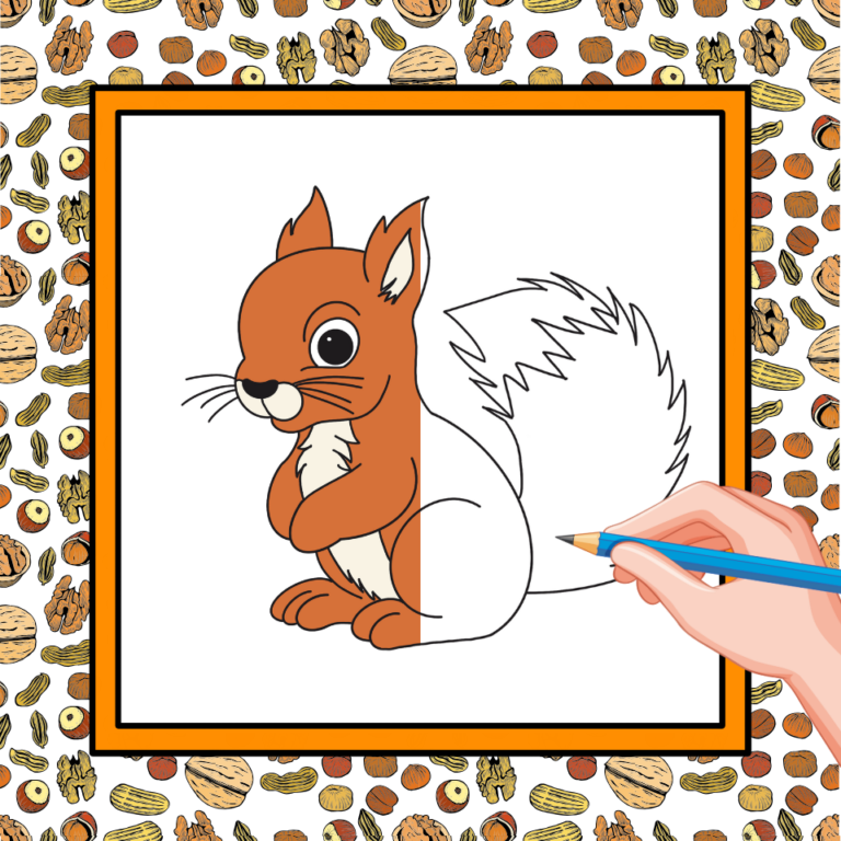 How to Draw a Squirrel: A Step-by-Step | How to Mimi Panda