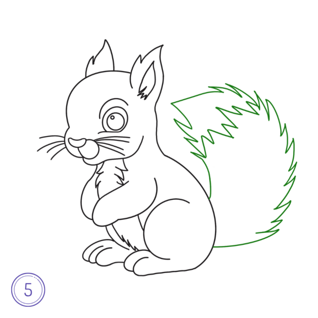 How to Draw a Squirrel: A Step-by-Step | How to Mimi Panda