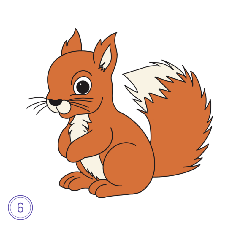 How to Draw a Squirrel: A Step-by-Step | How to Mimi Panda