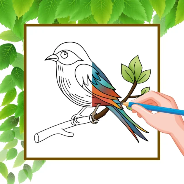 Comment Dessiner Un Oiseau - Un Guide Étape Par Étape De Mimi Panda ...