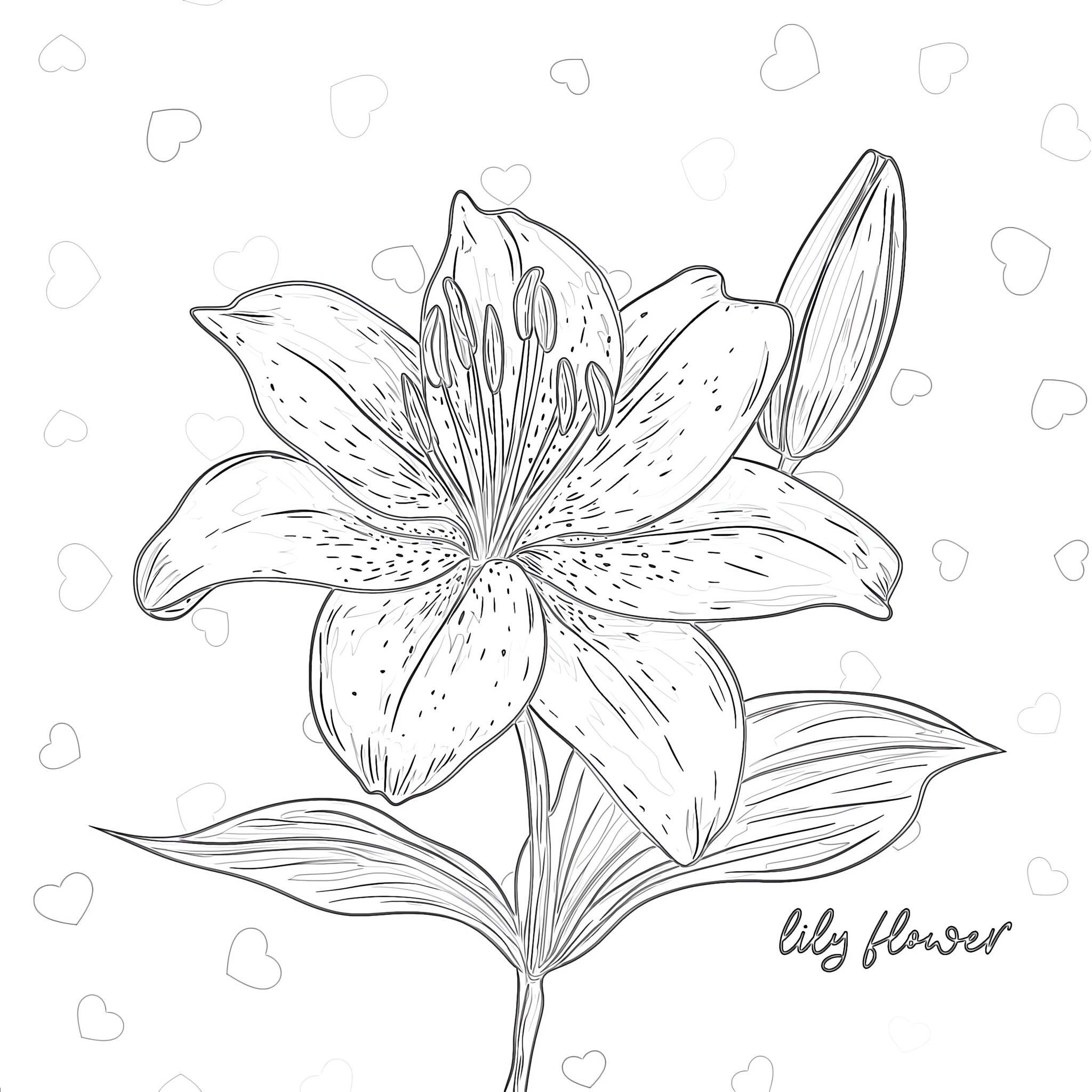 Printable Best Lily Coloring Page Best Coloring Page | Mimi Panda