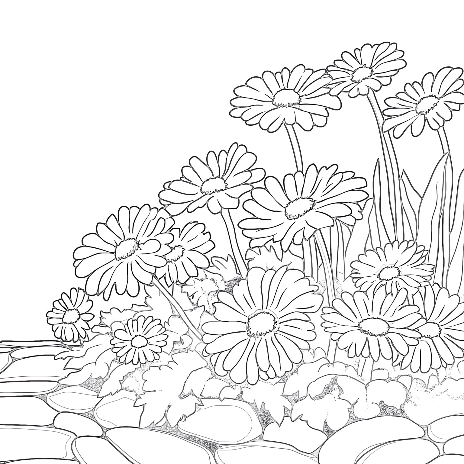 Daisy Coloring Pages Printable | Coloring Pages Mimi Panda