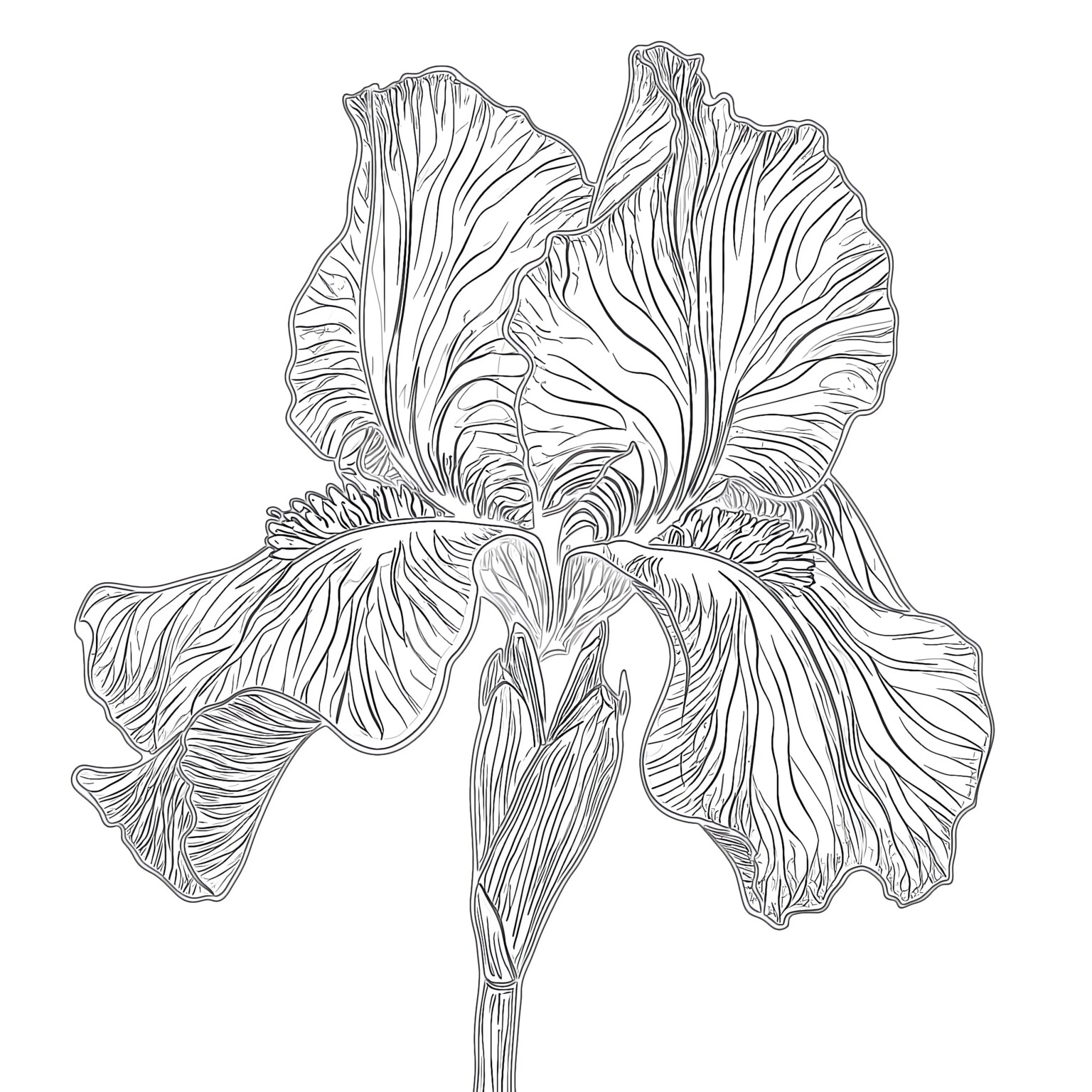 Flower Coloring Sheets | Coloring Pages Mimi Panda