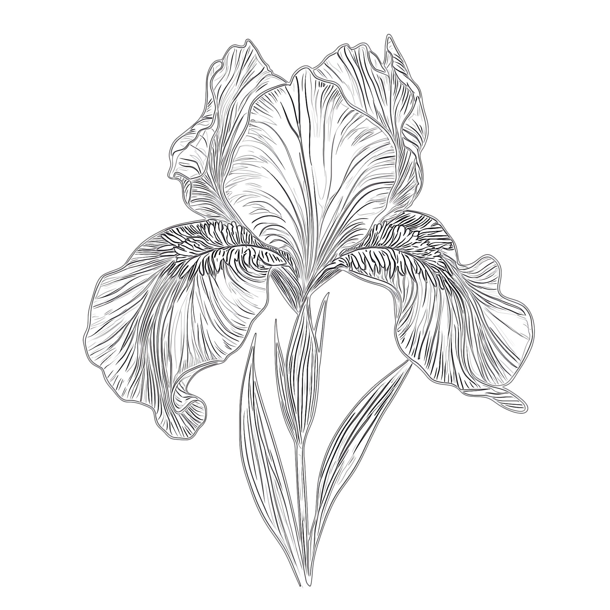 Printable Flower Pictures To Color | Coloring Pages Mimi Panda
