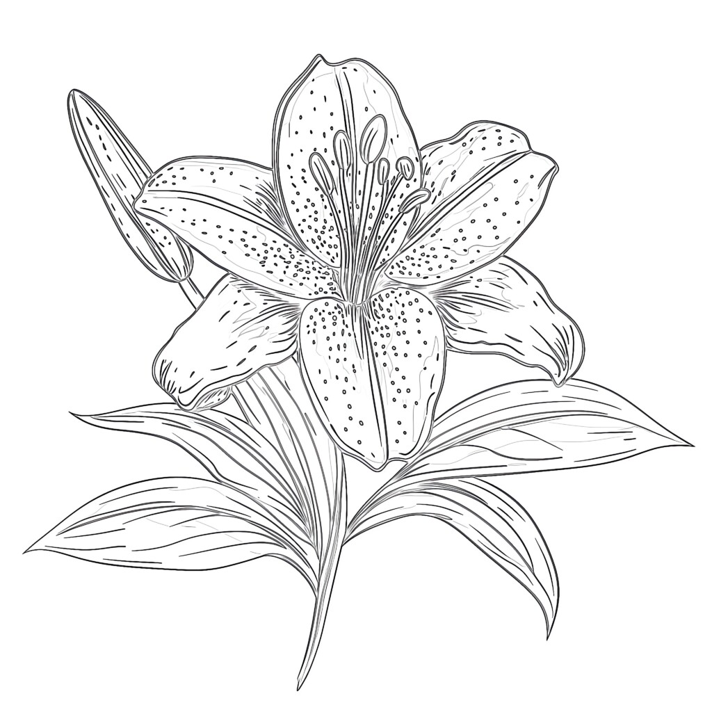 Flower Picture To Color And Print | Coloring Pages Mimi Panda