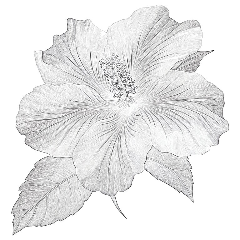 Flower Printable Pages | Coloring Pages Mimi Panda