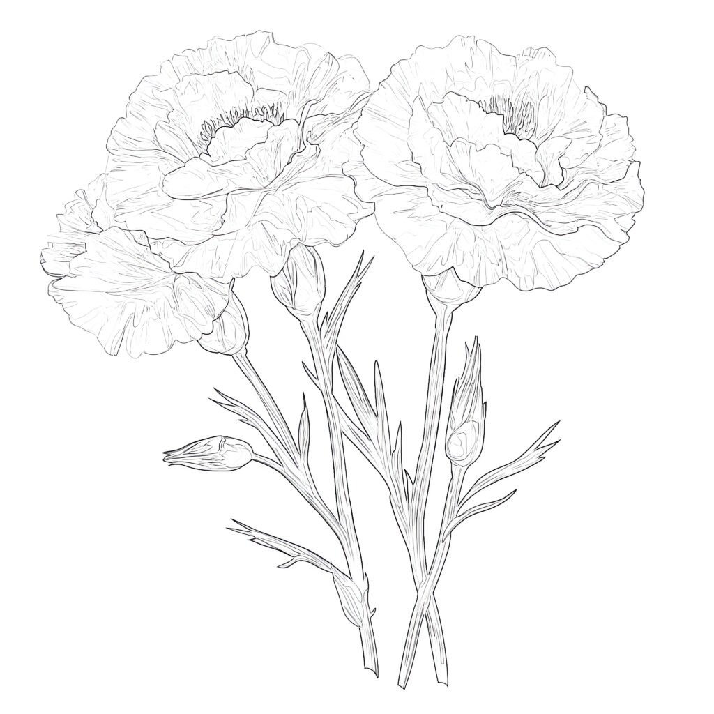 Free Printable Color By Number Flowers | Coloring Pages Mimi Panda