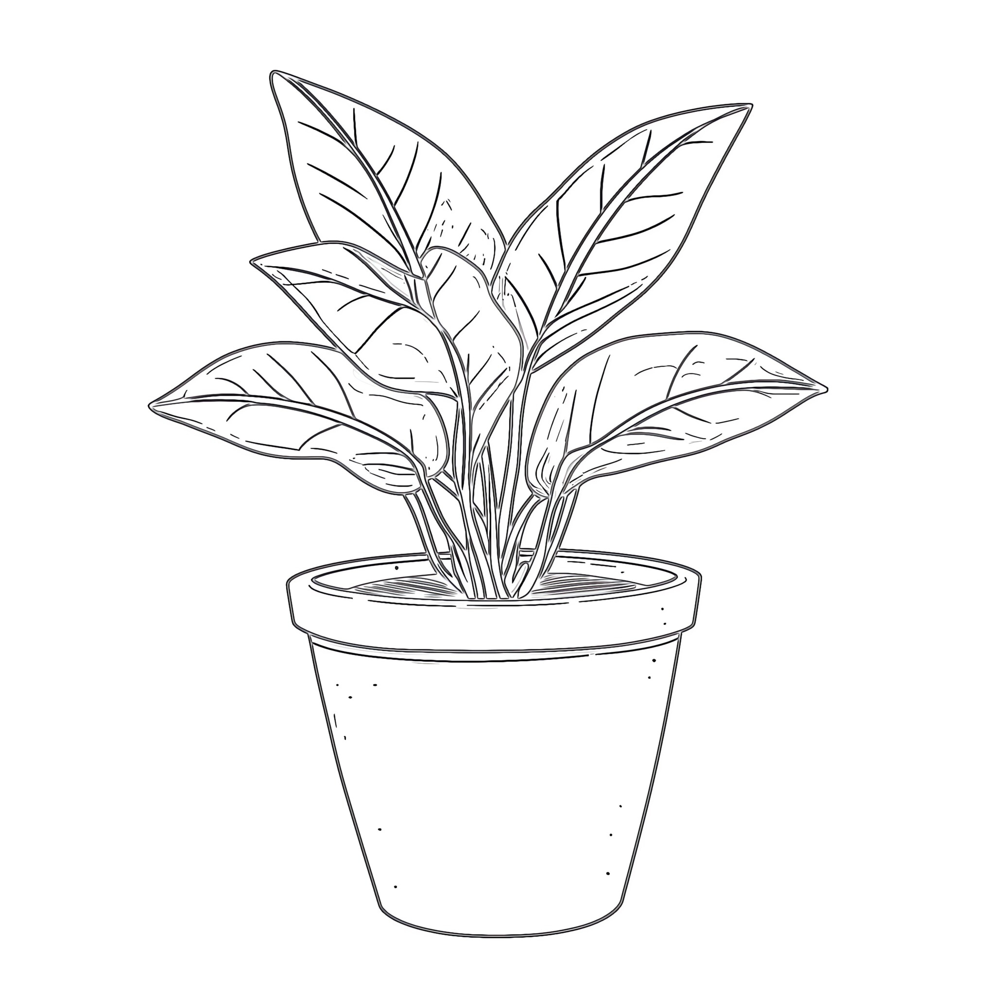 Print Flowers to Coloring Page| Coloring Pages Mimi Panda