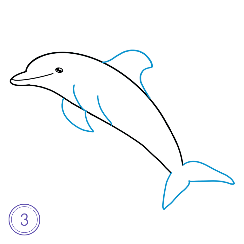 How To Draw A Dolphin - Step-by-Step | How to Mimi Panda