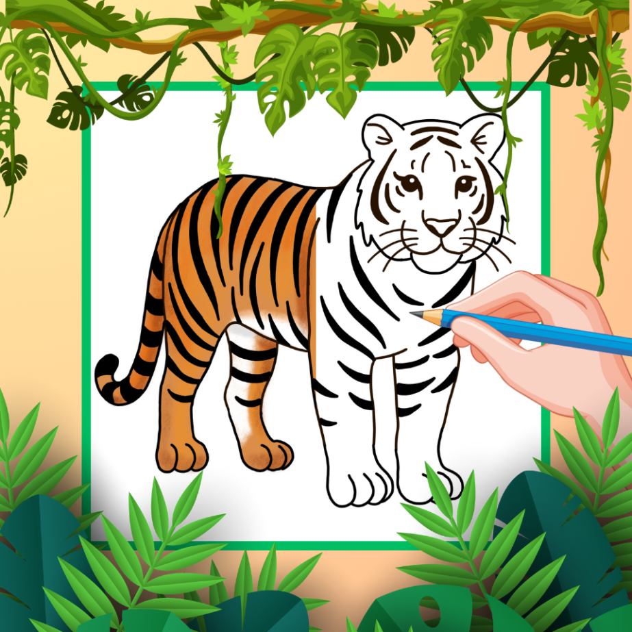 How to Draw a Tiger - A Step-by-Step Guide From Mimi Panda | How to ...