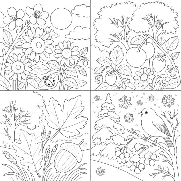 Four Seasons Coloring Page | Coloring Pages Mimi Panda