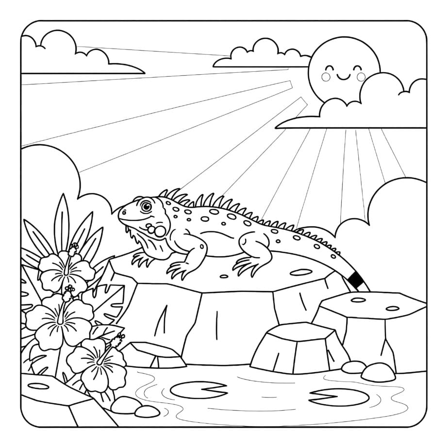 Iguana Basking Rock Coloring Page | Coloring Pages Mimi Panda